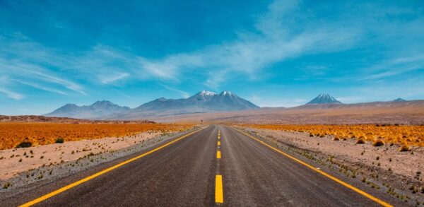 NEW DESIGN - NEW HORIZONS — Jacqueline "Jay" Fuchs - IFBB Professional